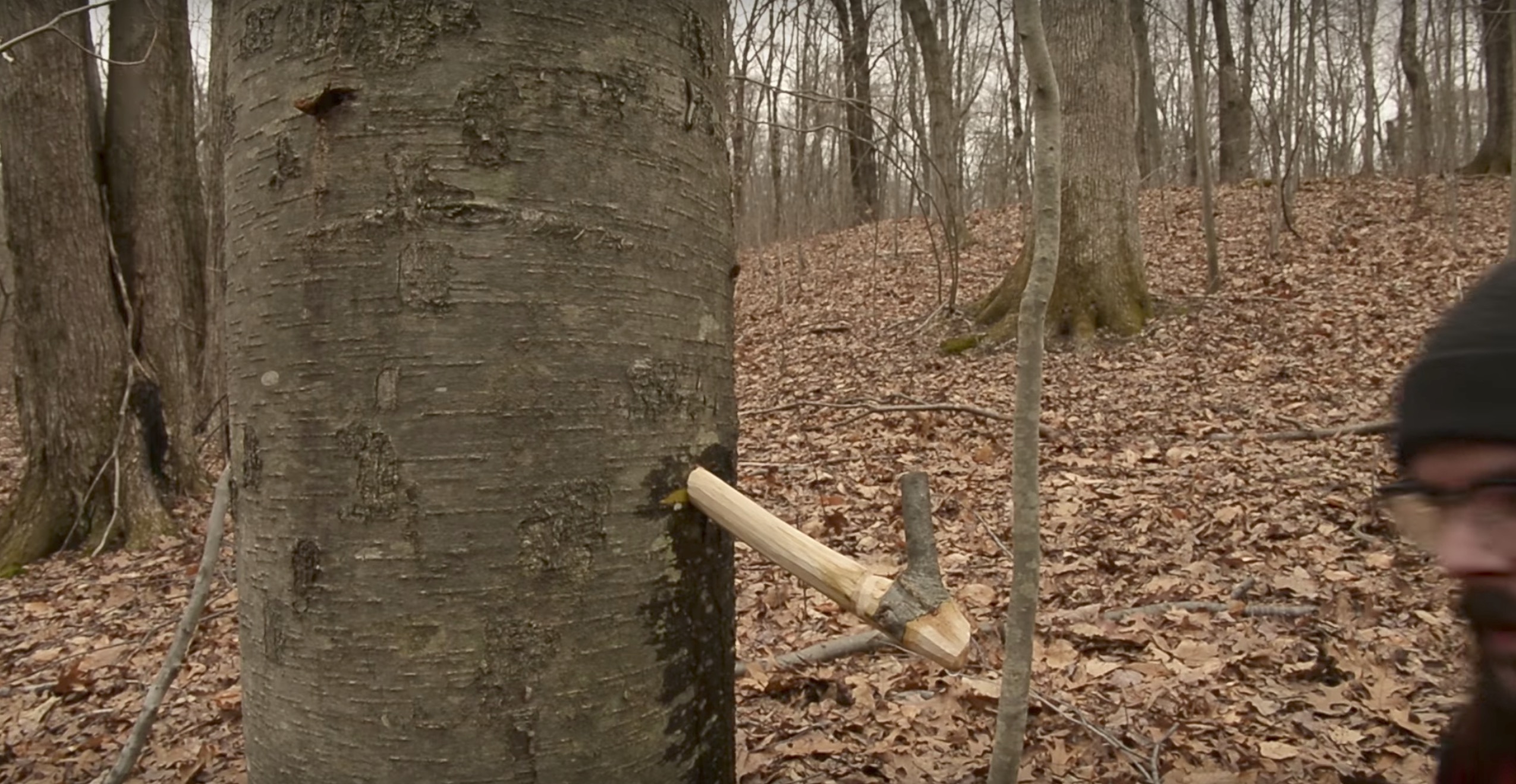 How To Produce Sugar & Maple Syrup While In The Wild - D.I.Y Bullseye